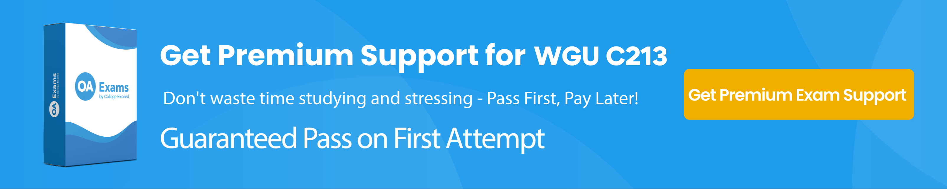 C213 Practice Questions | WGU Study Guide